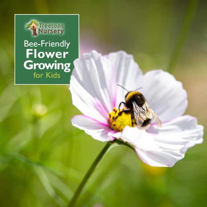 EYFS Early Learning Goals for Under-5s: a Guide by Treetops Nursery